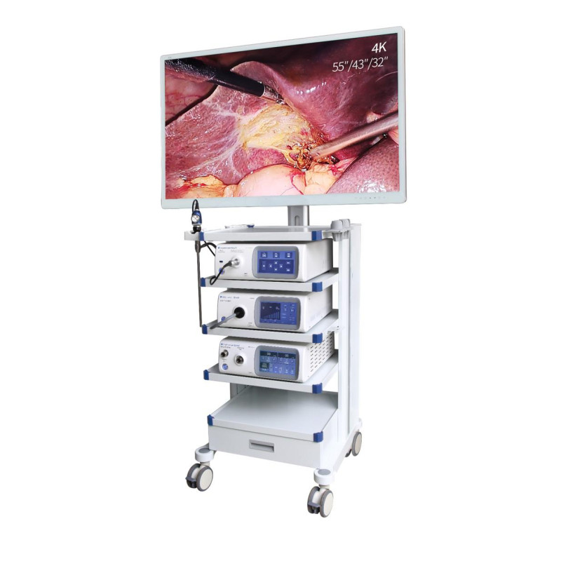 4K endoscope camera system