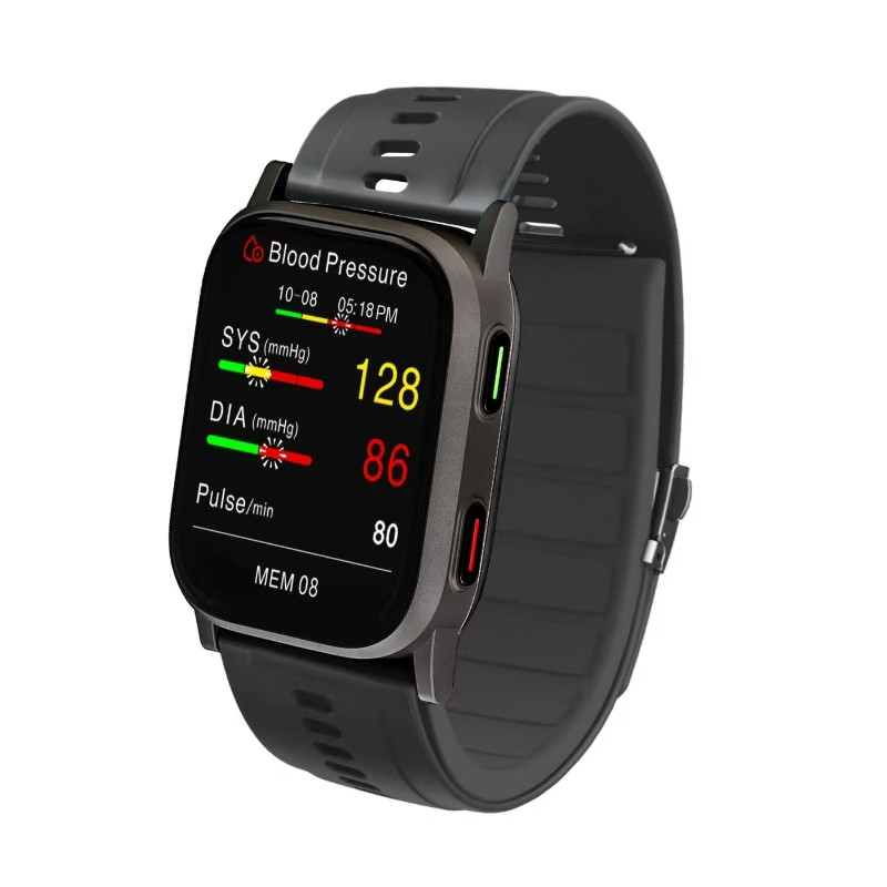 BPW1 Smartwatch BP device
